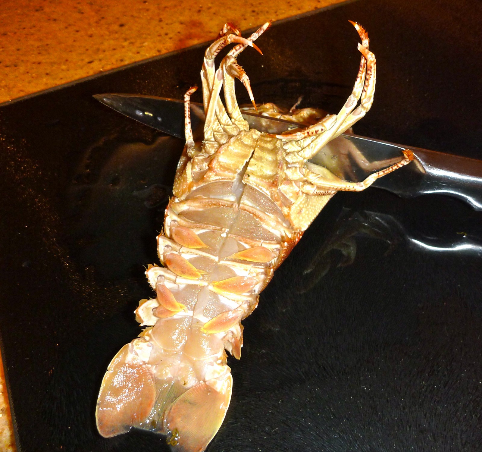 Australian Seafood Bugs