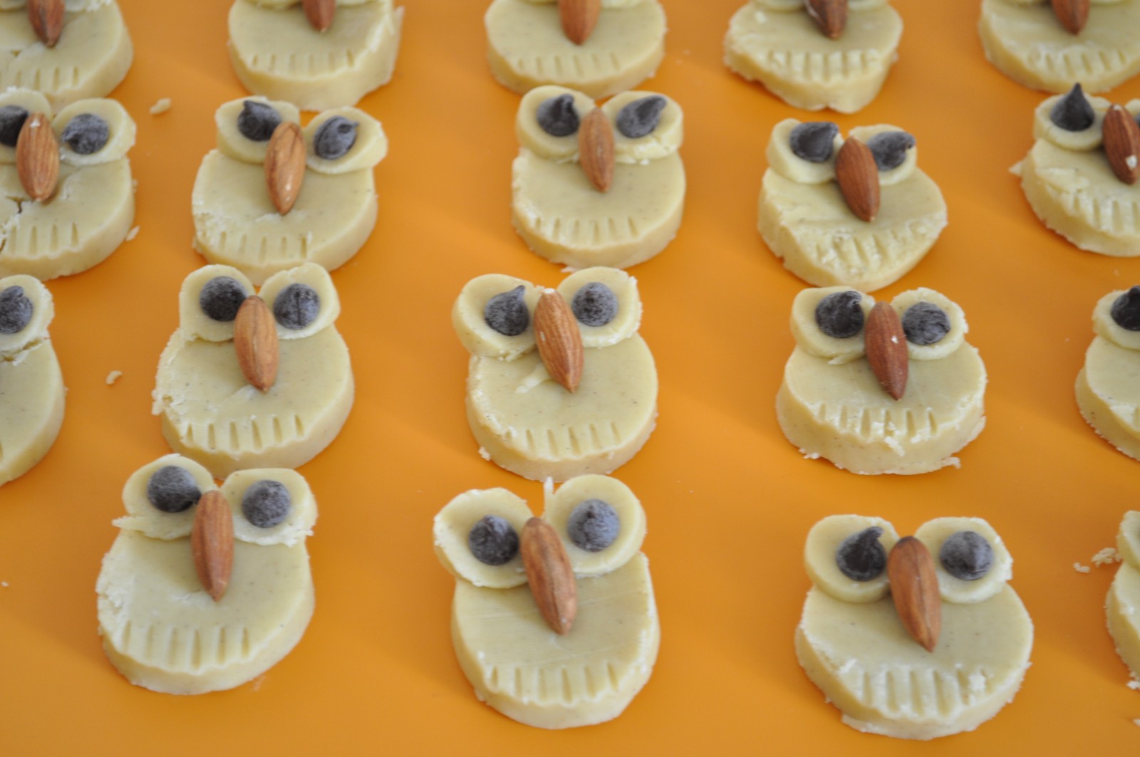 Hedwig the owl cookies - Happy Harry Potter day! - Claire K Creations
