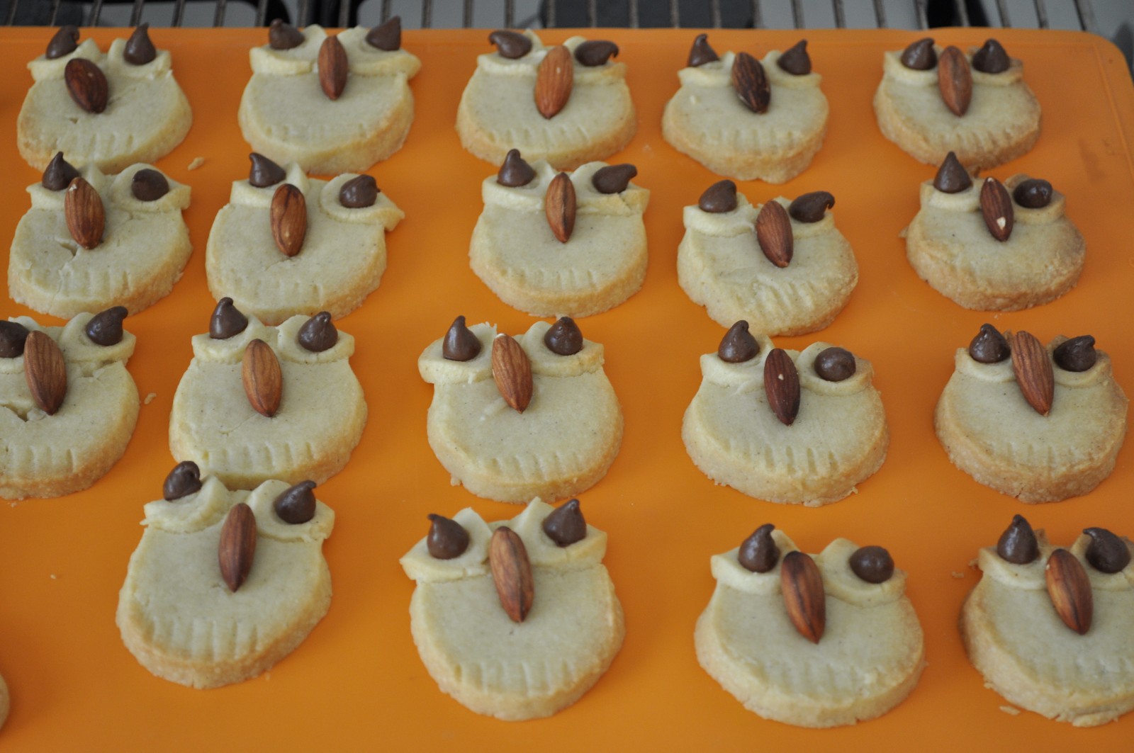 Hedwig the owl cookies - Happy Harry Potter day! - Claire K Creations