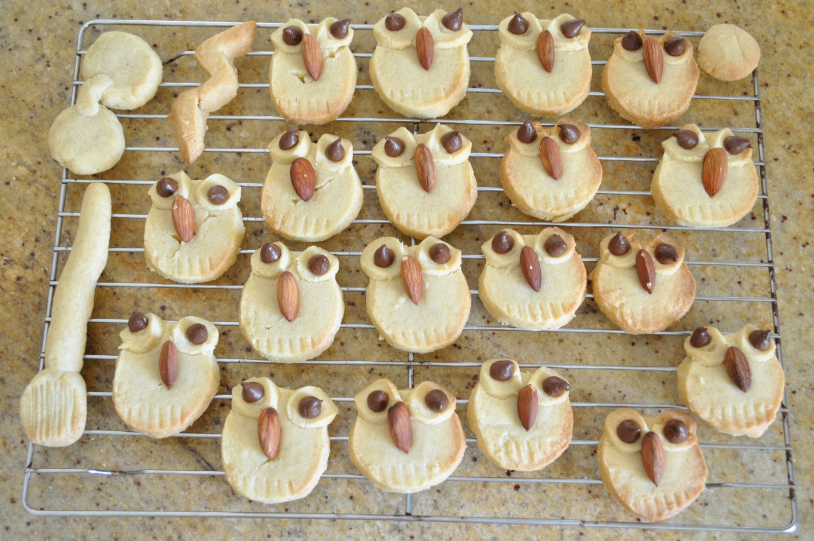 Hedwig the owl cookies - Happy Harry Potter day! - Claire K Creations