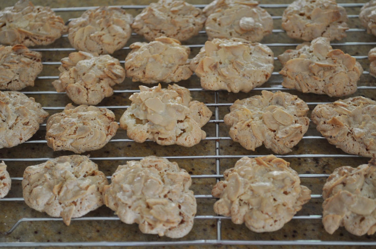 Gluten free almond crisps (almond cookies)