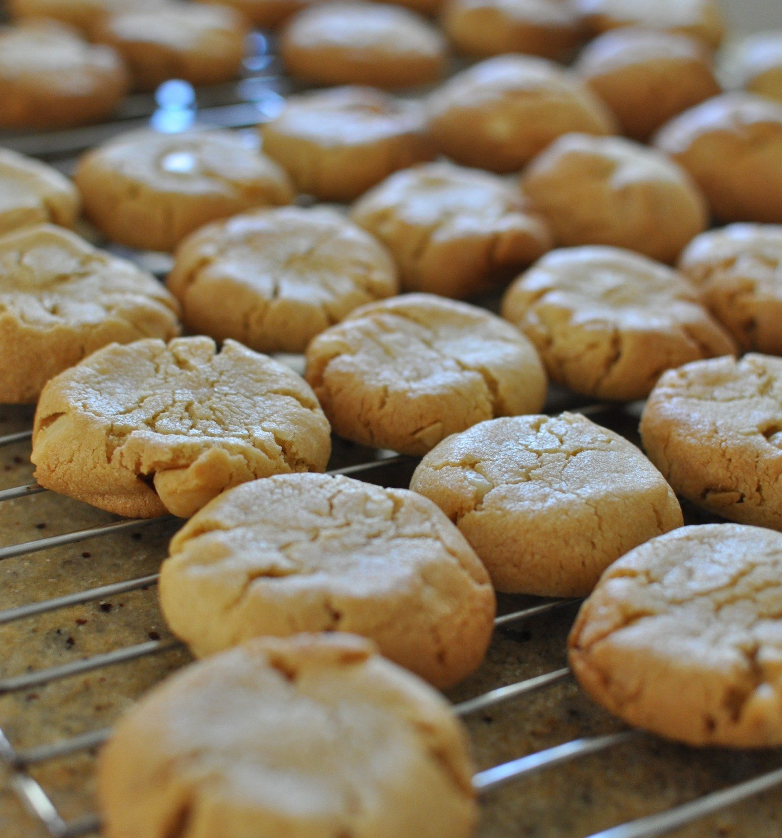 White chocolate and macadamia biscuits - Claire K Creations