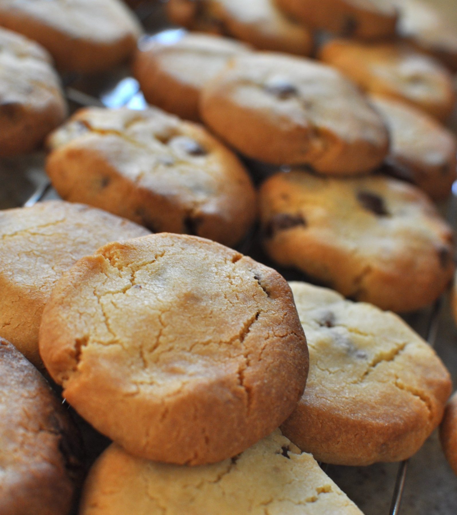 Sante biscuits - New Zealand's chocolate chip biccie - Claire K Creations