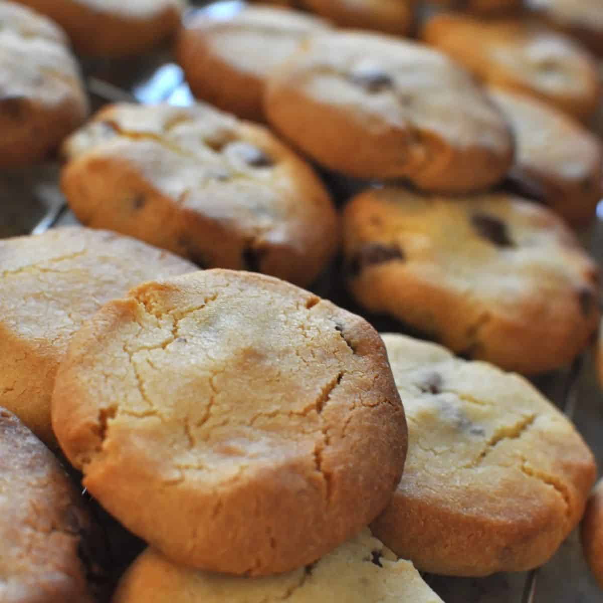 Sante Biscuits - Claire K Creations