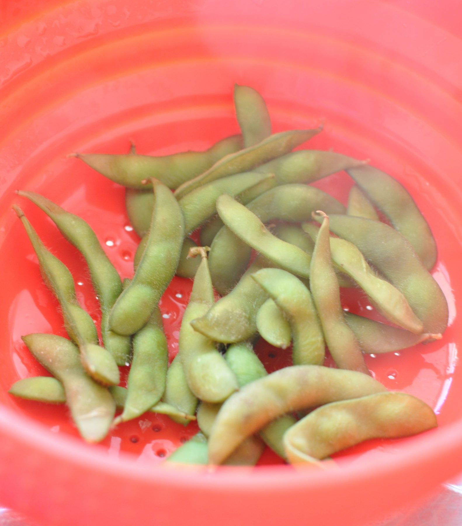 How to make Japanese restaurant edamame (easy recipe)