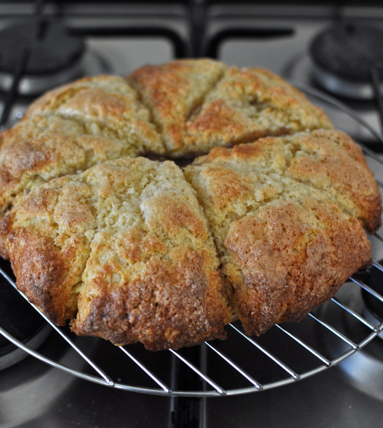 Giant cinnamon streusel scone for International Scone Week - Claire K ...