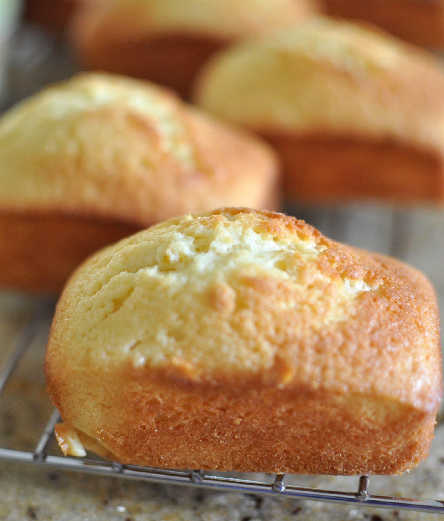 Easy Madeira loaf cakes with lemon icing - Claire K Creations