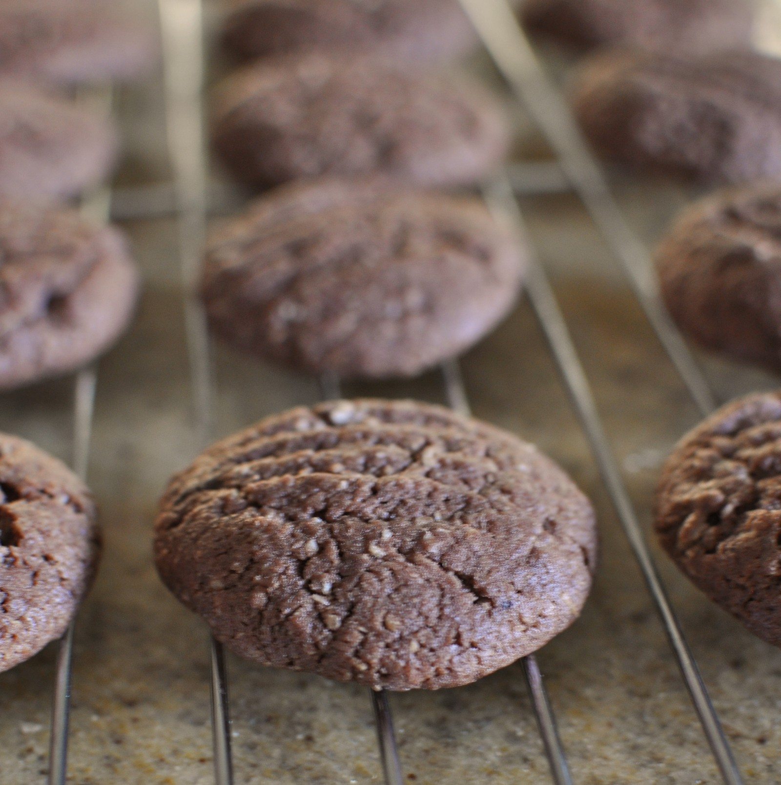 Choconutties - Claire K Creations