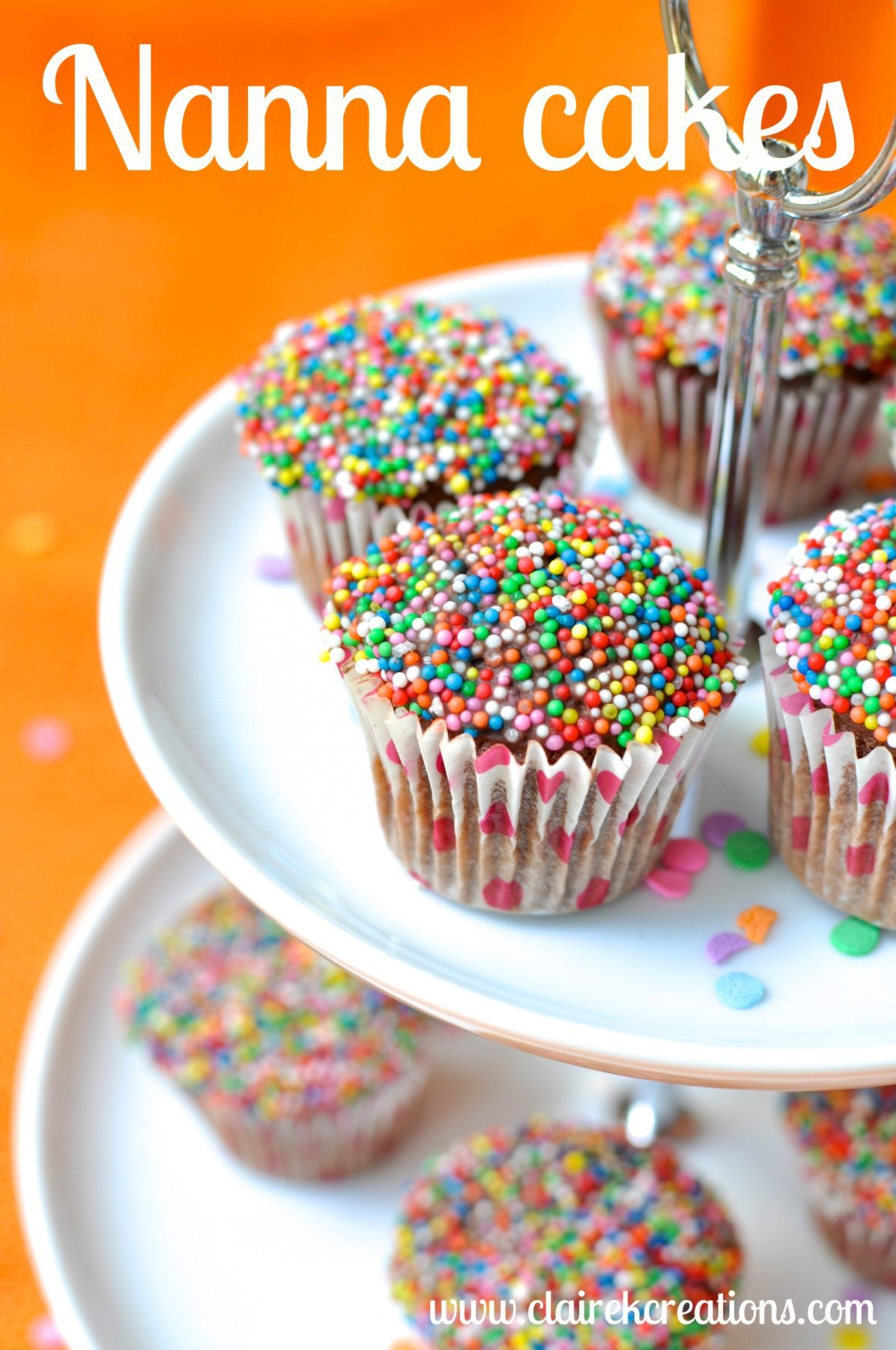 Chocolate nanna cakes
