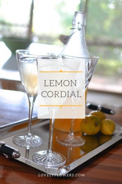 Easy homemade lemon cordial recipe