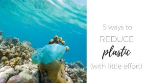 5 ways to reduce plastic (that you might not have thought of)