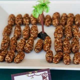 Apricot and coconut logs - Claire K Creations