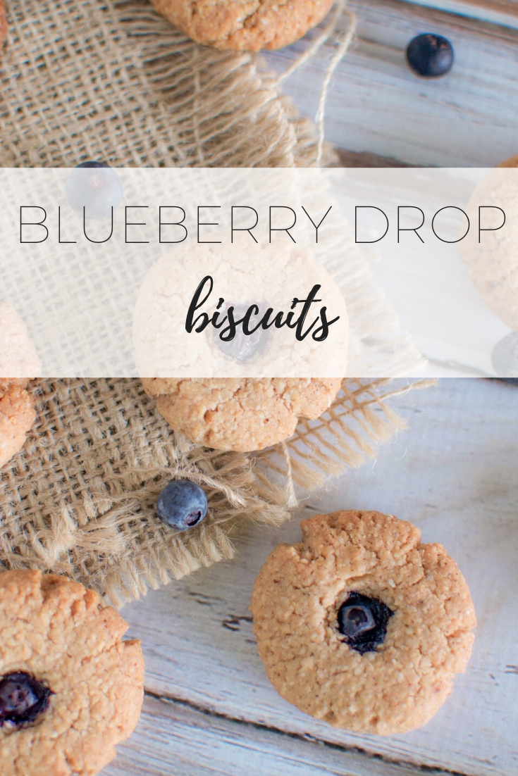 Blueberry drop biscuits - dairy-free cookies (freezer friendly)