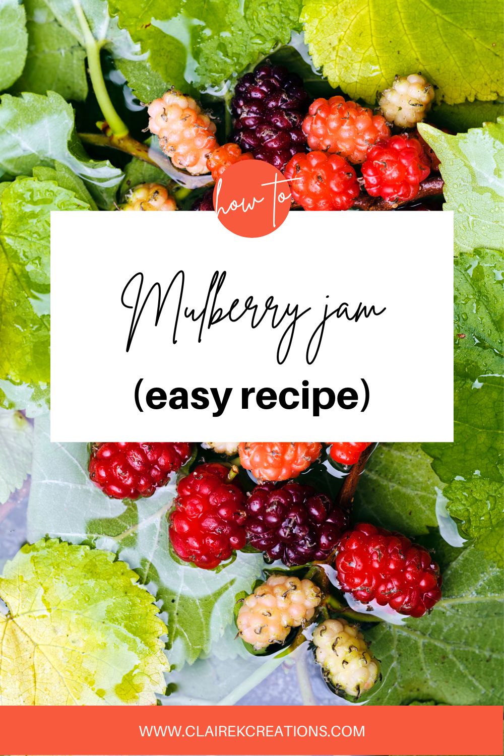 Mulberry jam recipe - simple, quick & delicious recipe (2024)